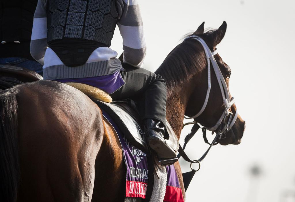 About Eclipse | Eclipse Thoroughbred Partners