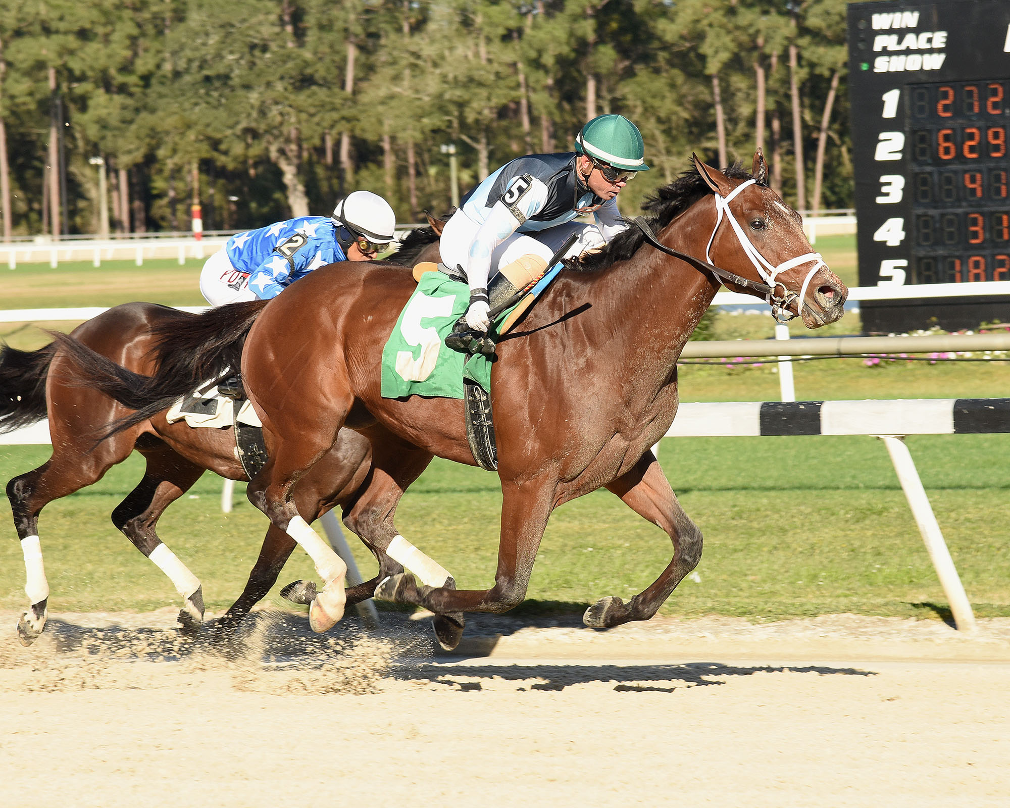 Eclipse Hits The 100th Win Mark! | Eclipse Thoroughbred Partners