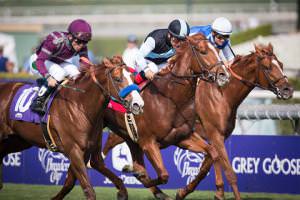 Industry Resources | Eclipse Thoroughbred Partners