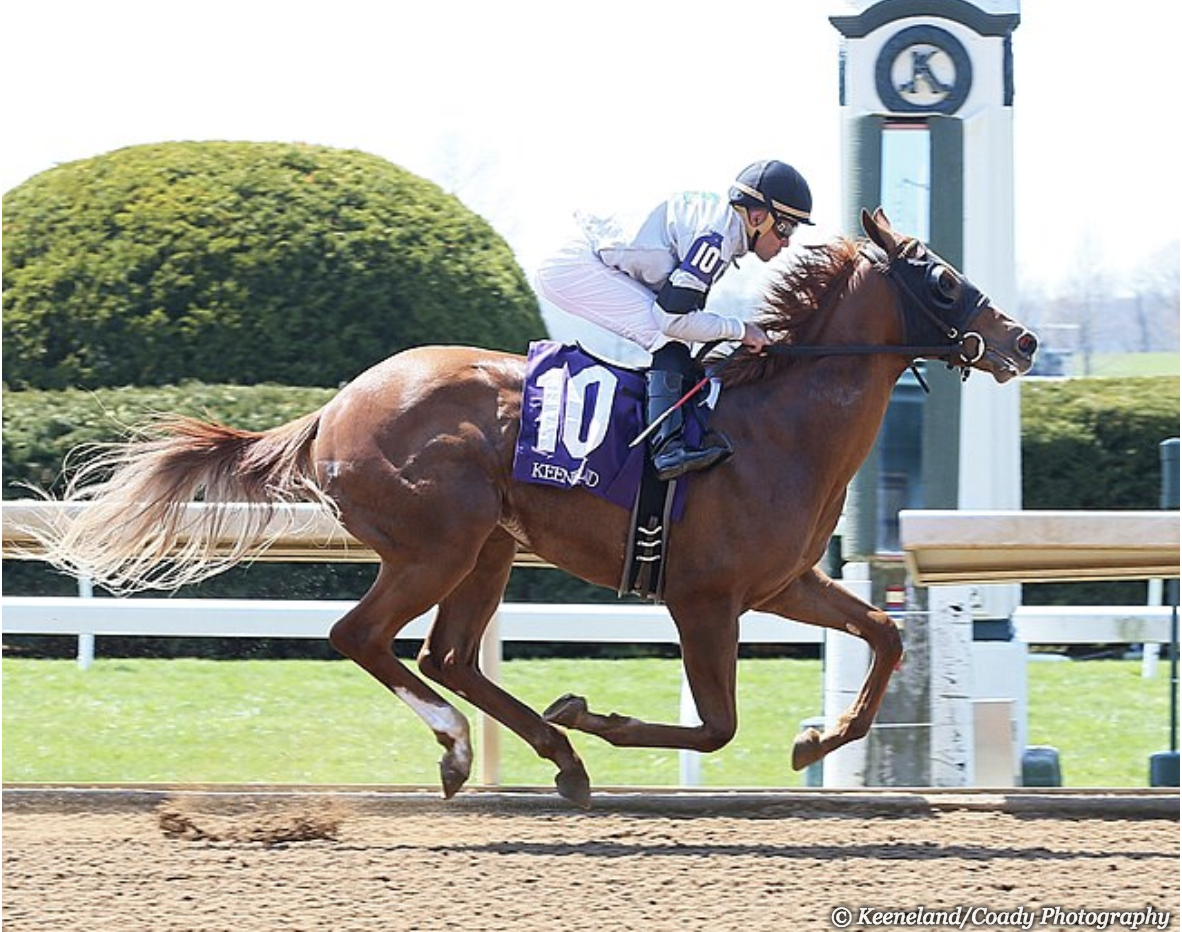 Capo Bastone's First Winner Comes at Keeneland | Eclipse Thoroughbred ...