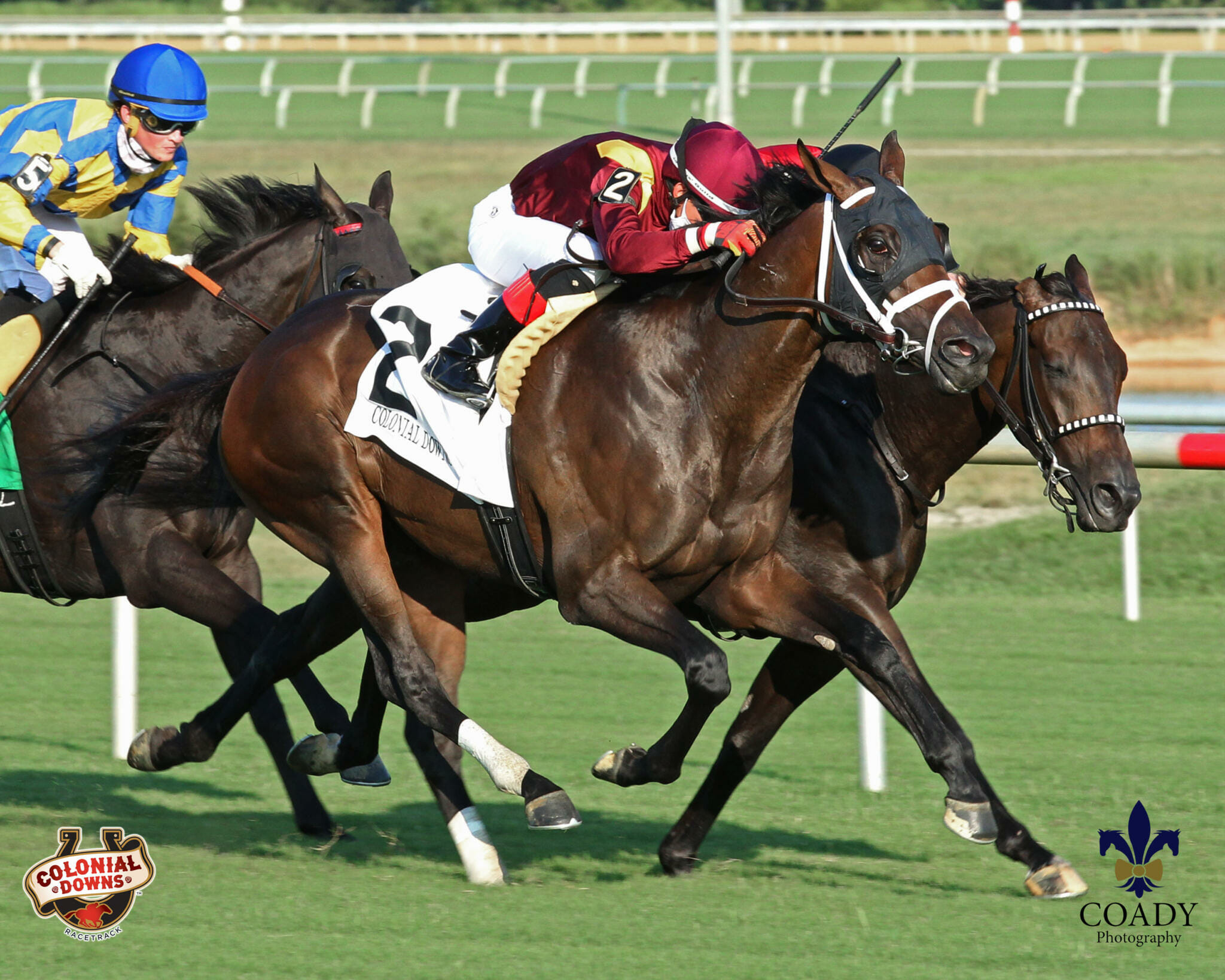 Eclipse Enjoys 5 Win Week, Including 2 Stakes | Eclipse Thoroughbred ...