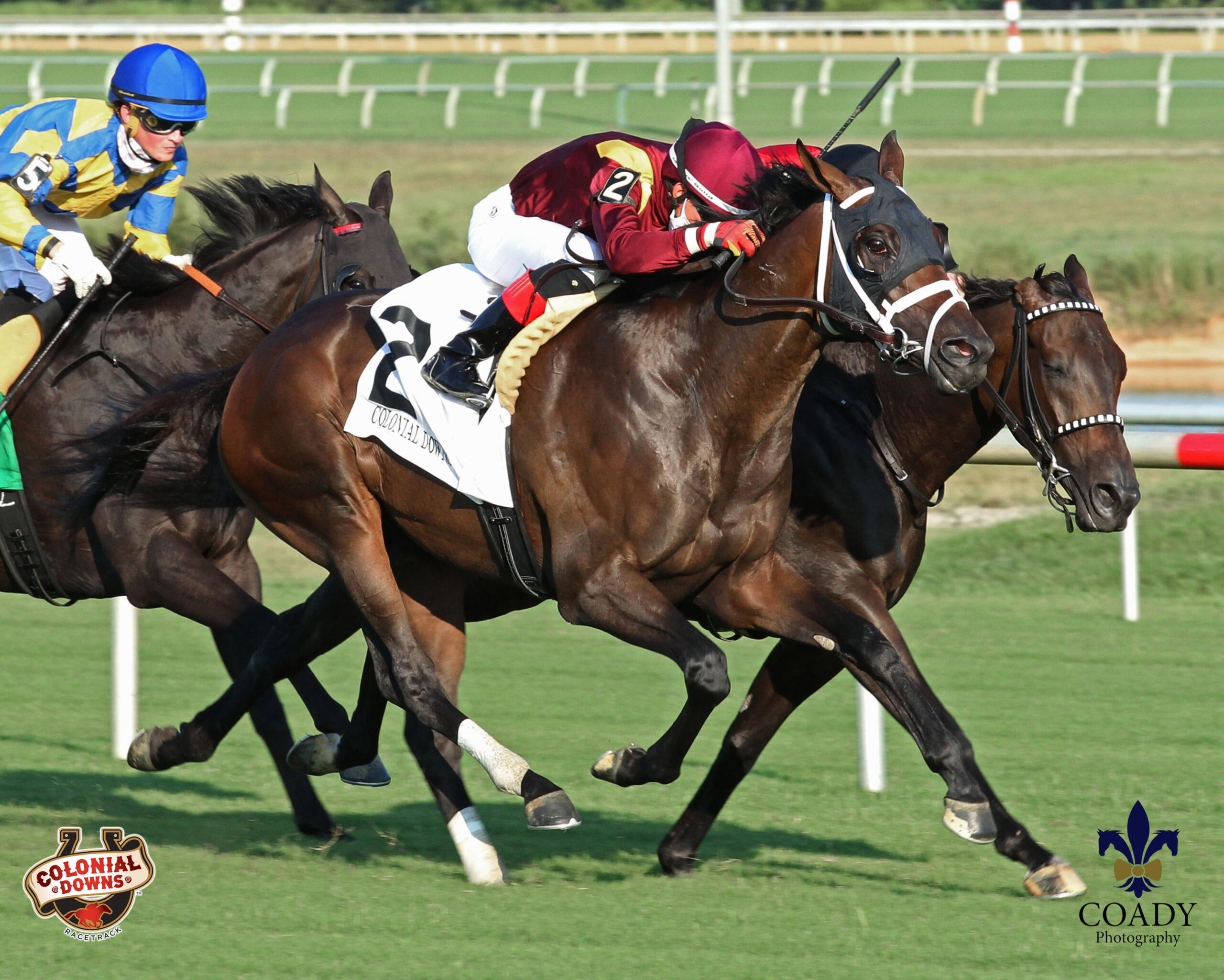 Farmington Road impresses in turf debut, eyes Virginia Derby | Eclipse ...