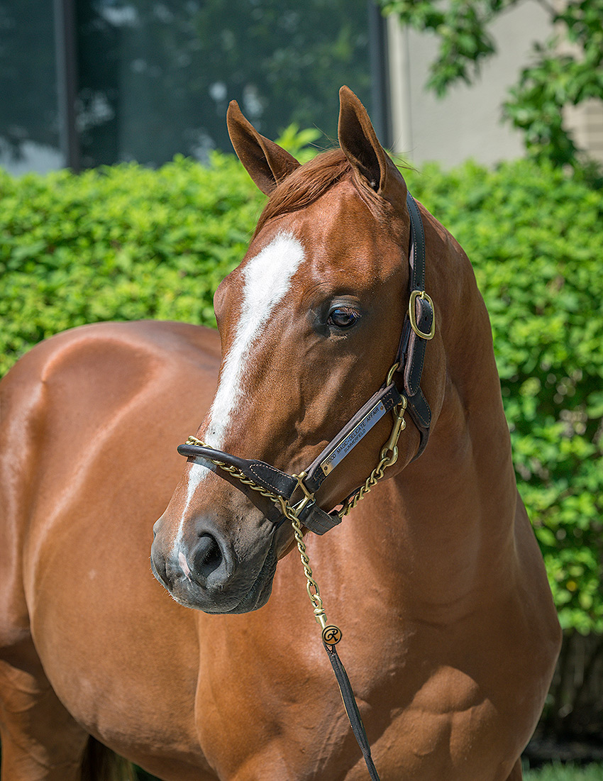 Home | Eclipse Thoroughbred Partners