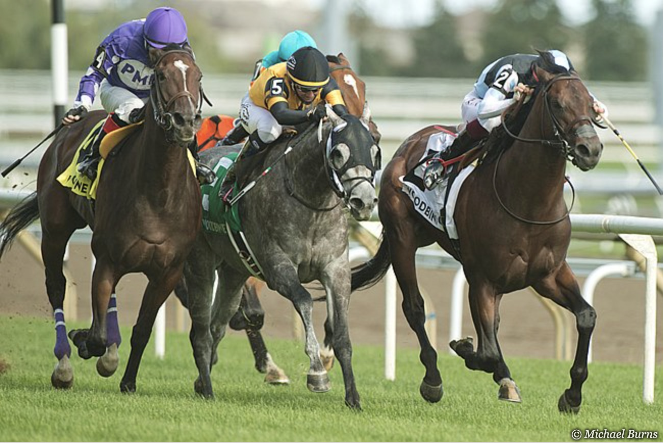Gretzky the Great Returns to Capture Greenwood | Eclipse Thoroughbred Partners
