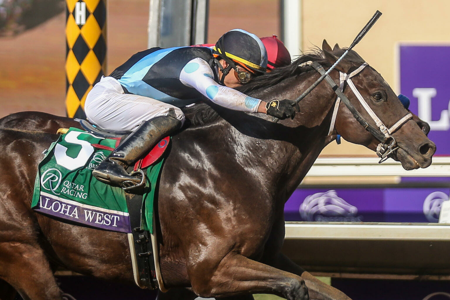 Home | Eclipse Thoroughbred Partners