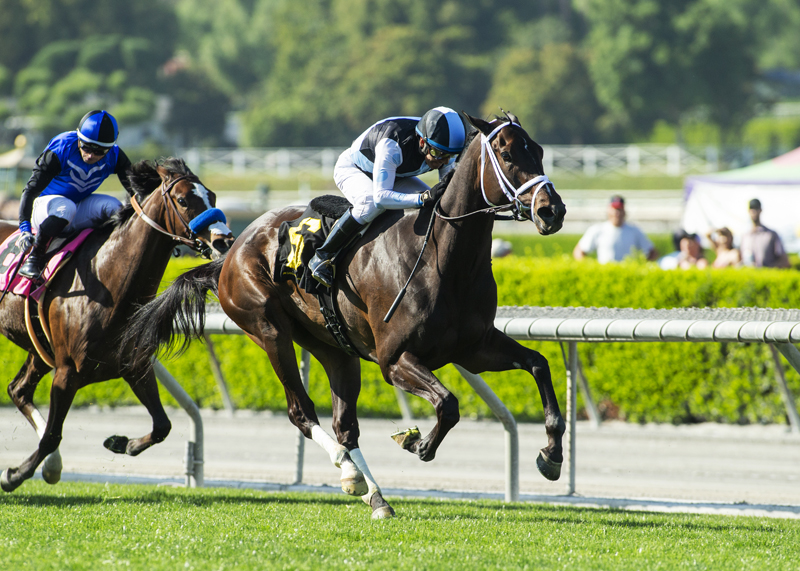 Queen Goddess Kicks Clear in Santa Ana | Eclipse Thoroughbred Partners
