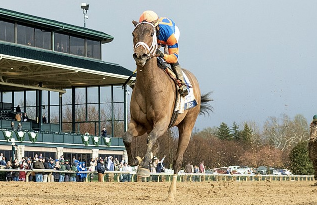 Nest Rolls to Third Straight Stakes Win in Ashland | Eclipse ...