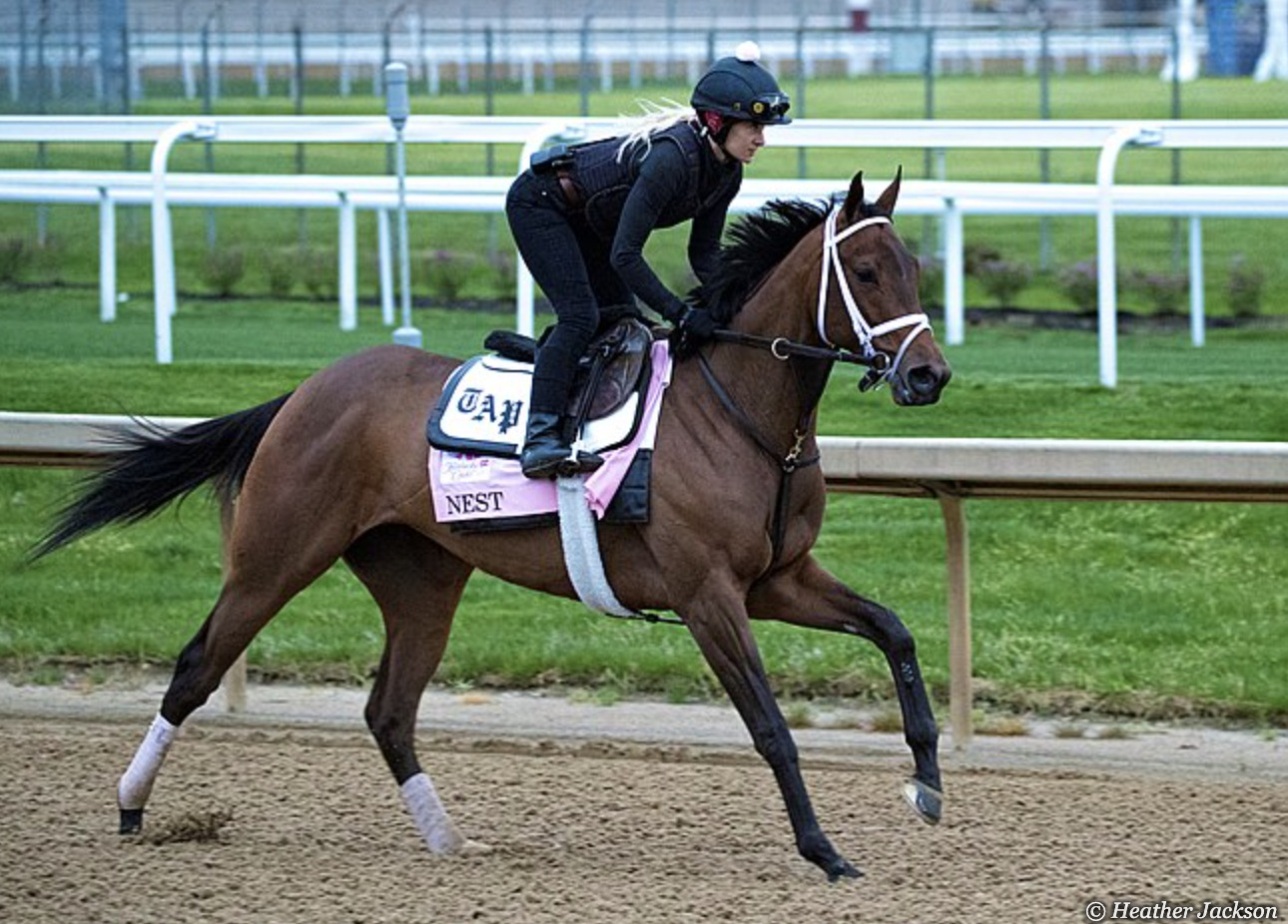 Nest Installed as 5-2 Kentucky Oaks Favorite | Eclipse Thoroughbred ...