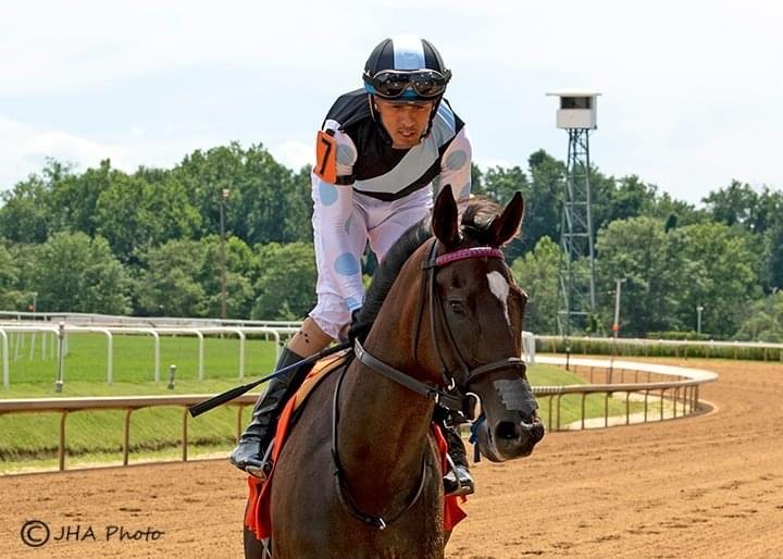 Home | Eclipse Thoroughbred Partners