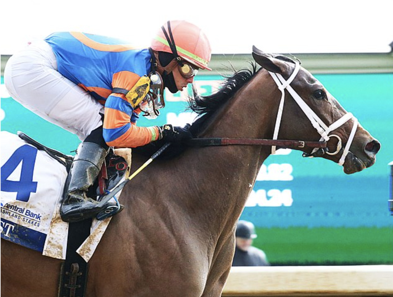 Nest Ready to Roll in Coaching Club American Oaks | Eclipse ...