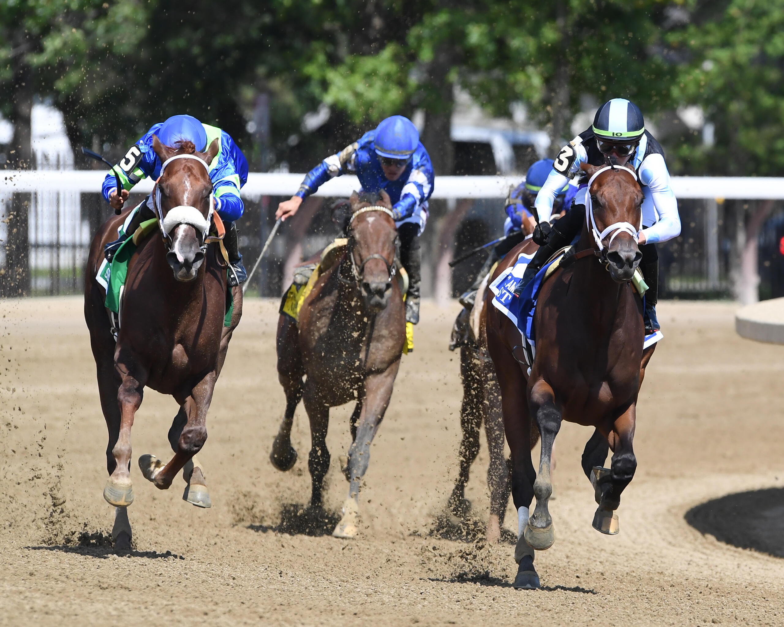 Home | Eclipse Thoroughbred Partners