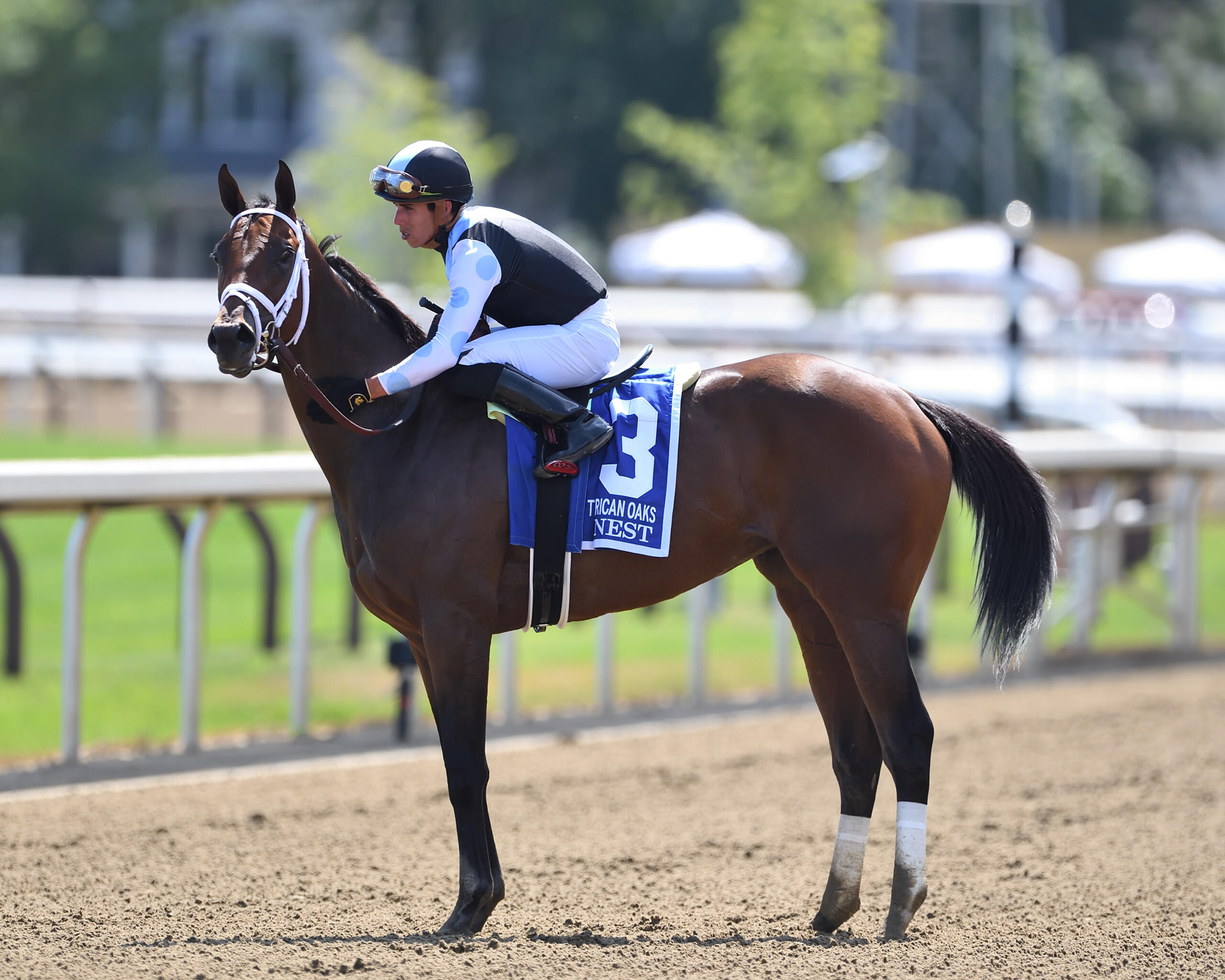 Eclipse’s Jack Sadler Pays Tribute To Nest: A Thrill Of A Lifetime ...