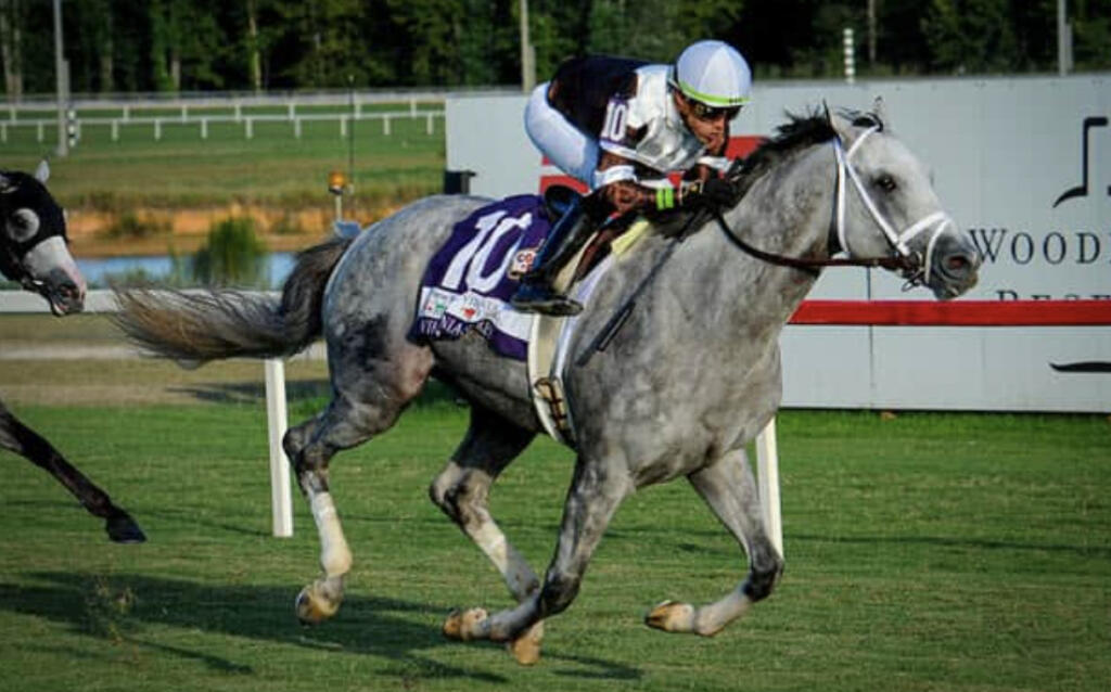 Home | Eclipse Thoroughbred Partners