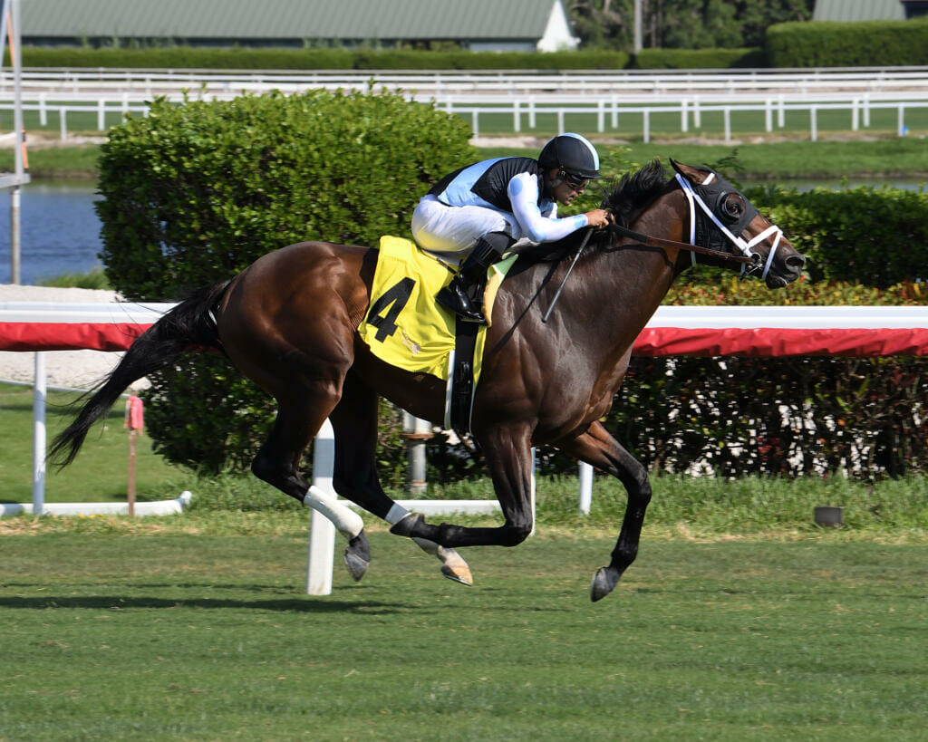 Ari Gold Scores Frontrunning Victory in Pulpit | Eclipse Thoroughbred ...