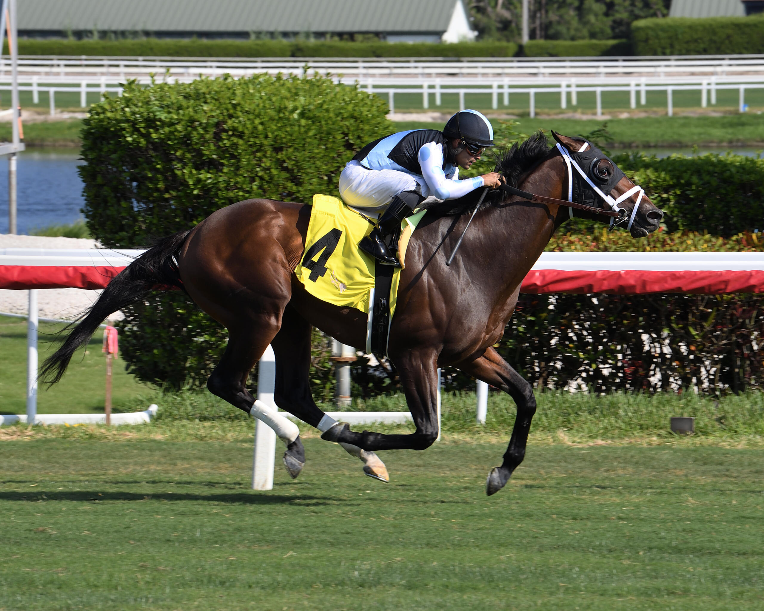 Home | Eclipse Thoroughbred Partners