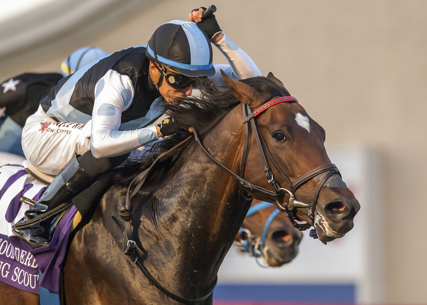 Speaking Scout New Eclipse Poster Boy After G1 Win | Eclipse ...