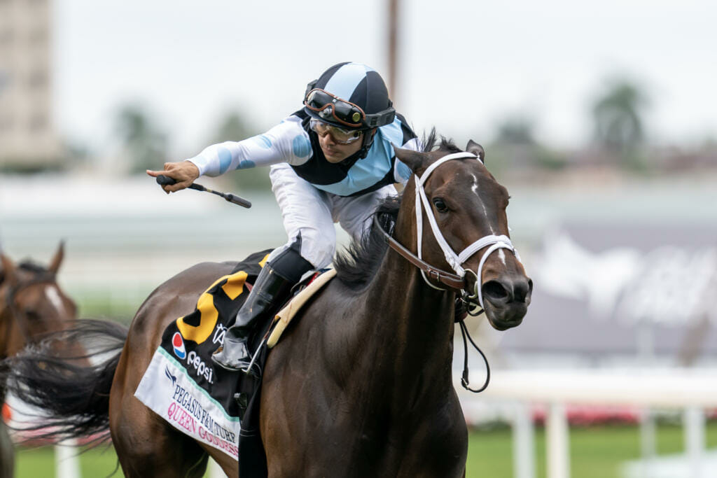 Queen Goddess gets the jump on Shantisara in Pegasus filly and Mare ...