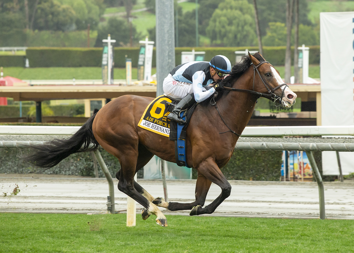 Home | Eclipse Thoroughbred Partners