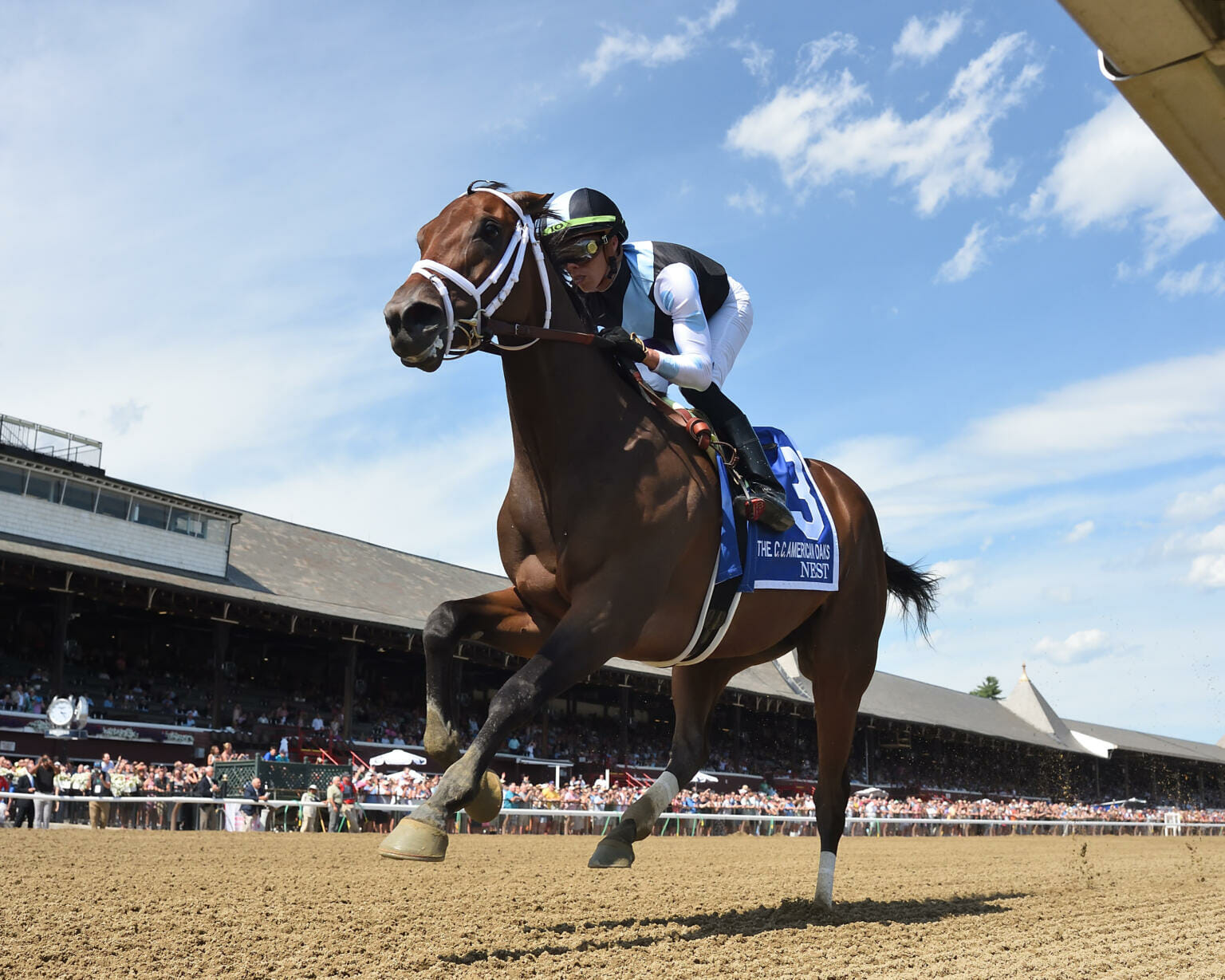 Nest Voted Champion 3 Year-Old Filly: Eclipse Earns 1st Eclipse Award ...