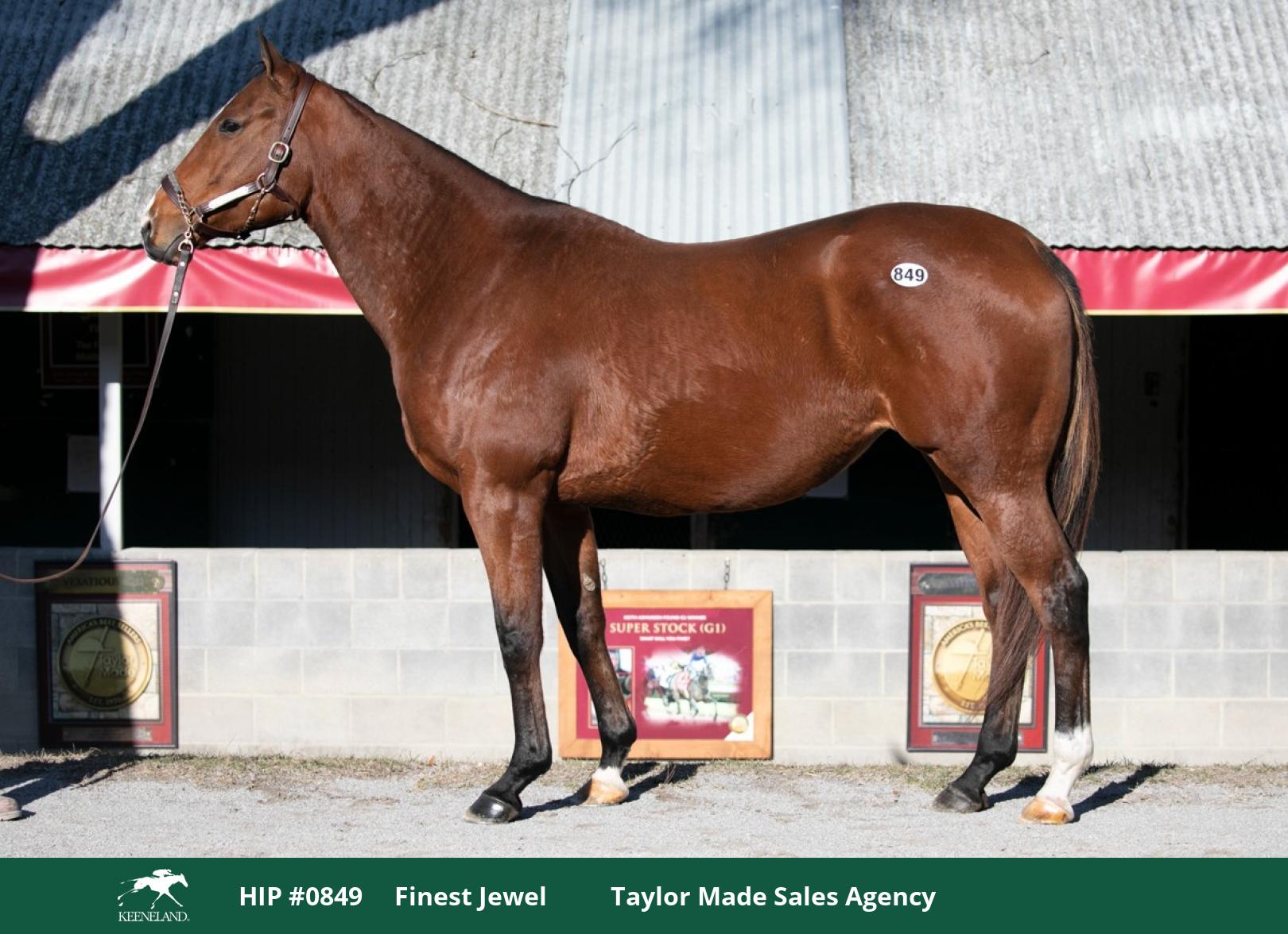 Finest Jewel | Eclipse Thoroughbred Partners