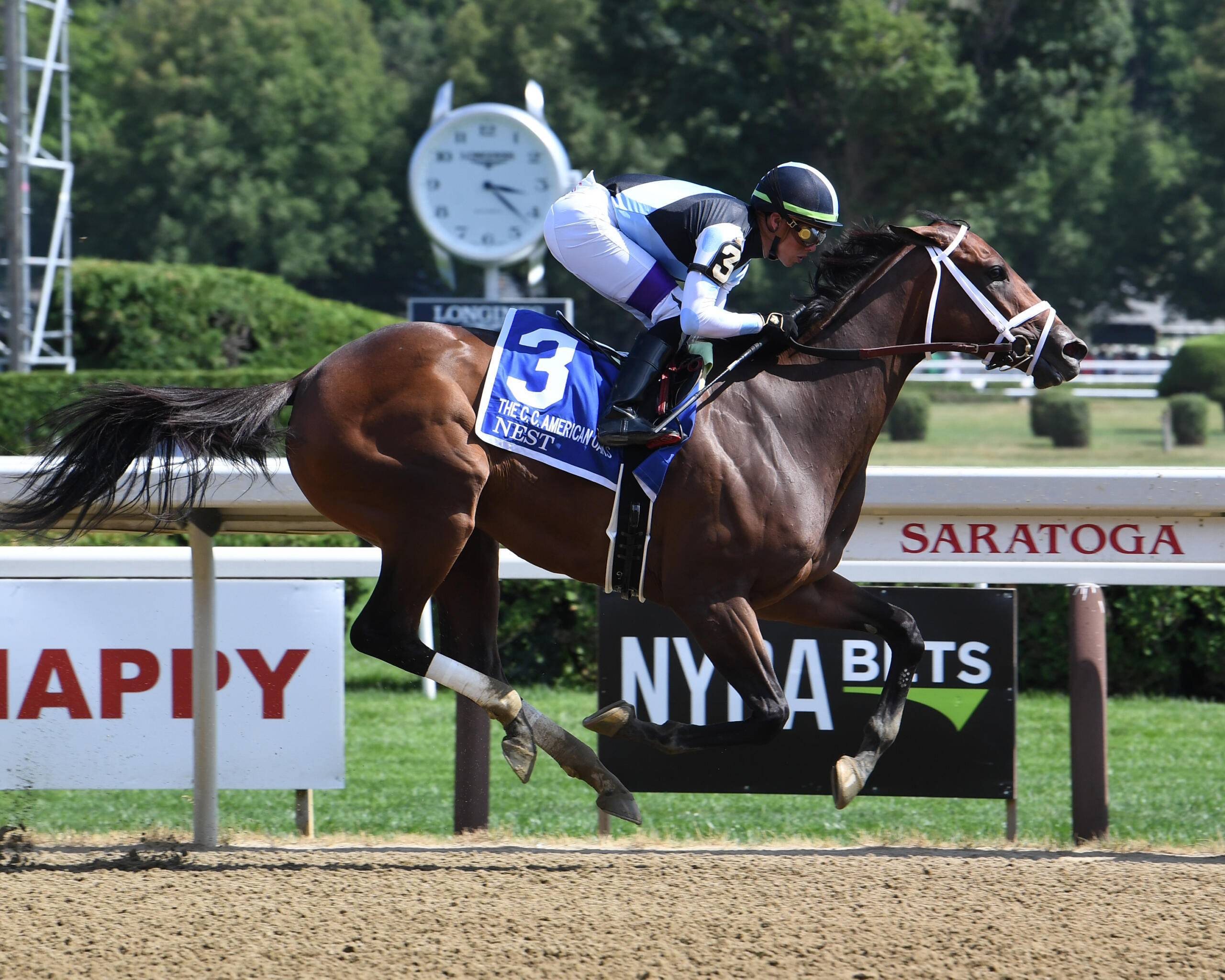 Nest Set to Return to Races | Eclipse Thoroughbred Partners