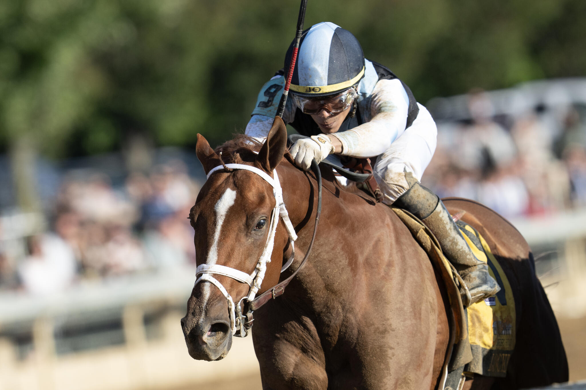Locked Takes Next Step in Grade 1 Breeders' Futurity | Eclipse Thoroughbred Partners