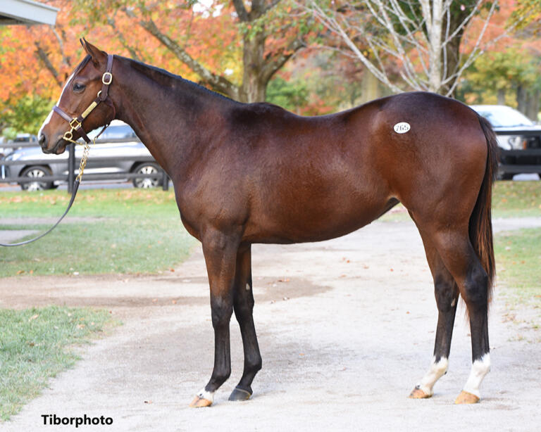 Fondly | Eclipse Thoroughbred Partners