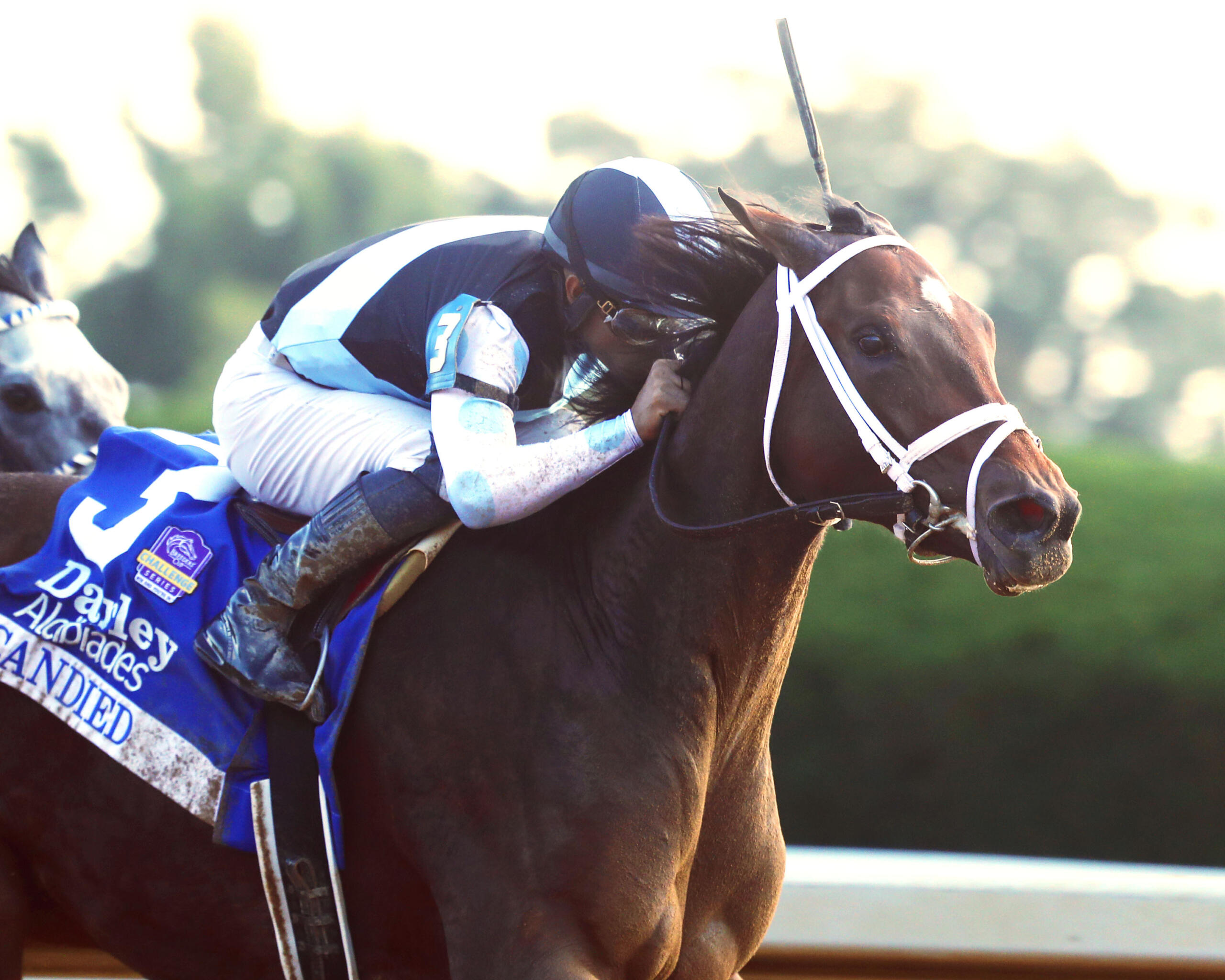 Eclipse's G1-Winning Filly Candied Ranked #2 In TDN Kentucky Oaks Top ...