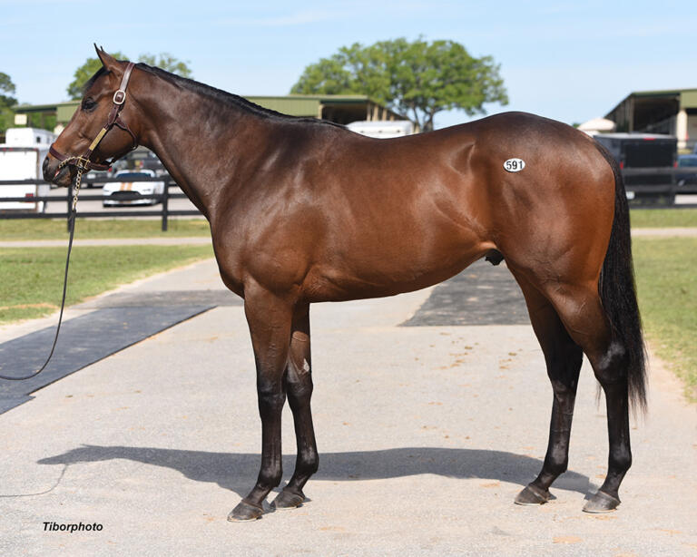 Built | Eclipse Thoroughbred Partners
