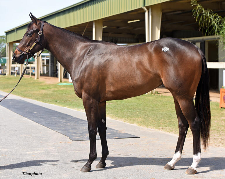 Funding | Eclipse Thoroughbred Partners