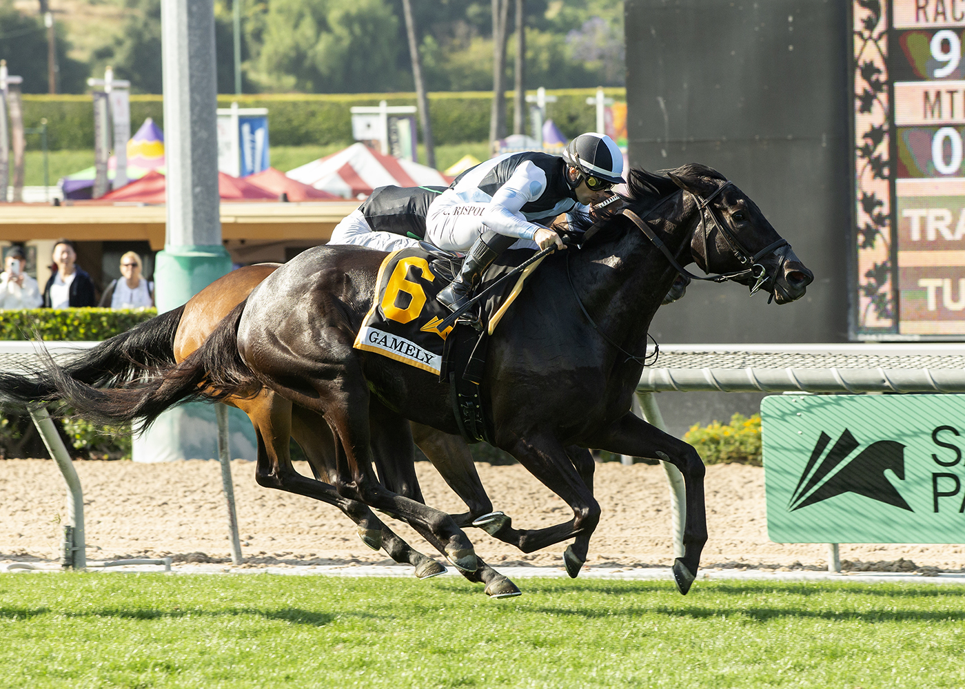 Home | Eclipse Thoroughbred Partners