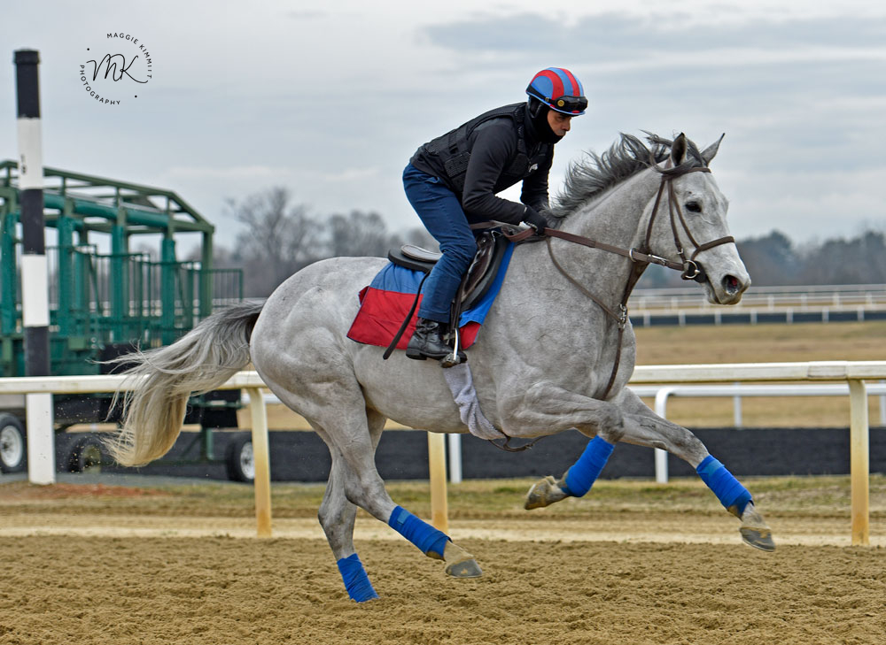 Home | Eclipse Thoroughbred Partners