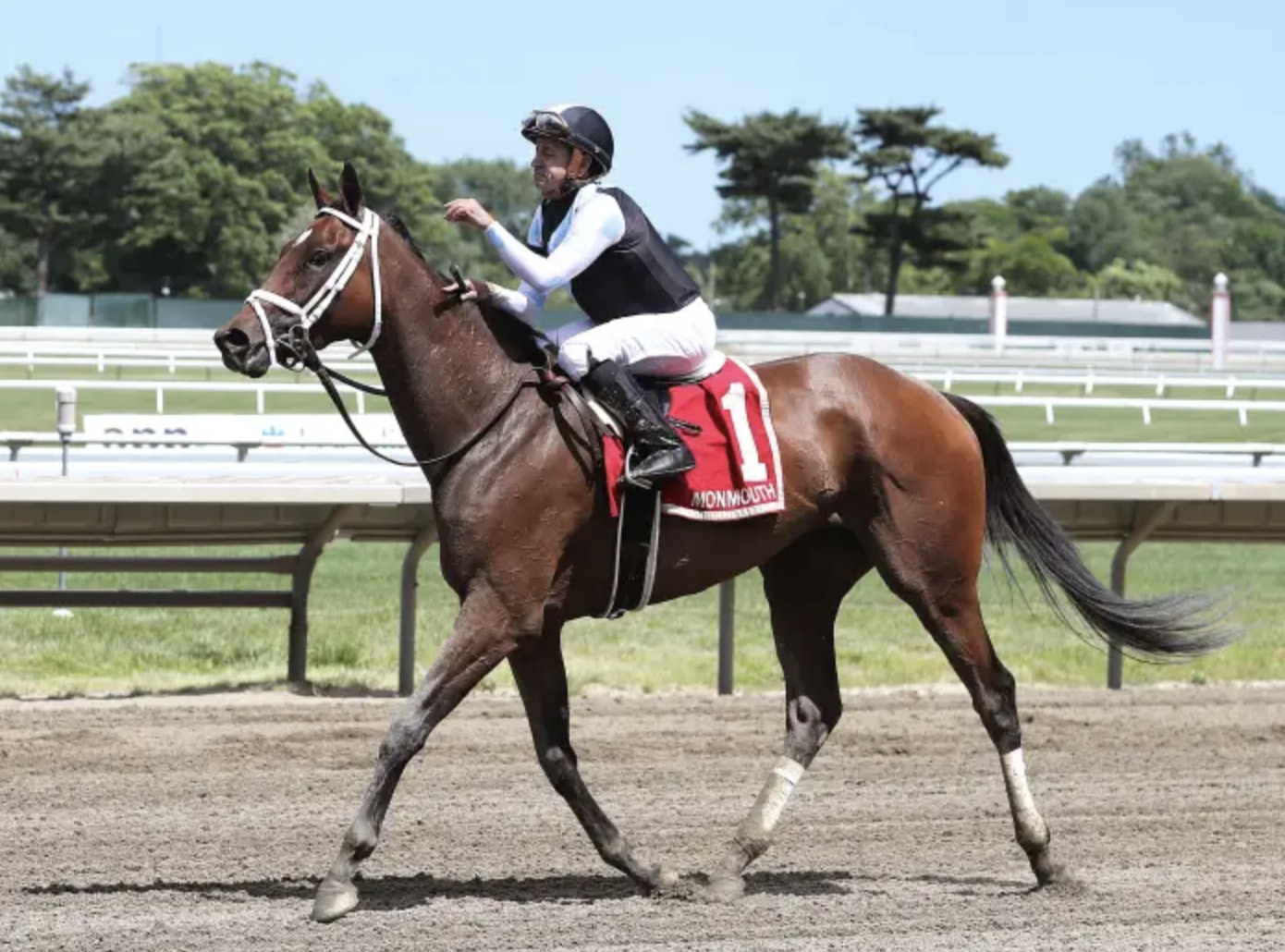 Candied Tops Wide Open Alabama | Eclipse Thoroughbred Partners