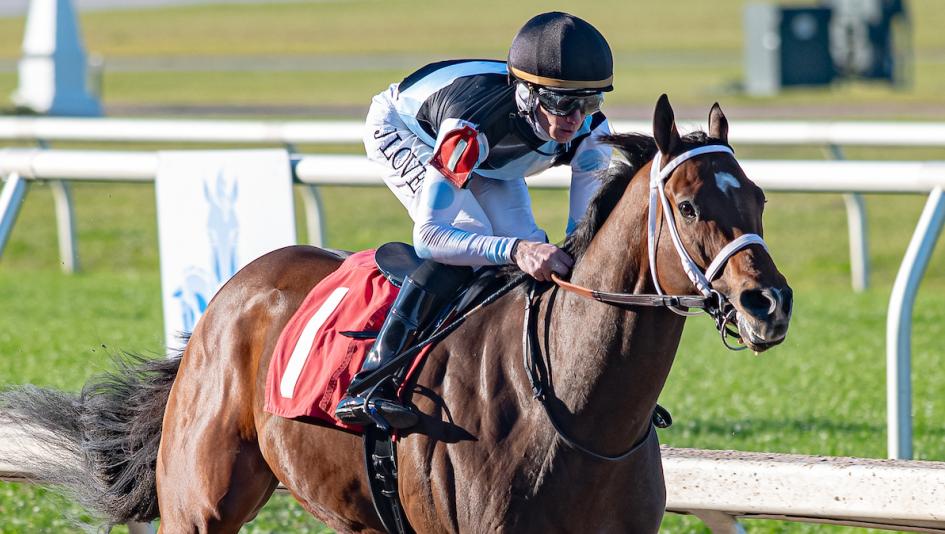 2025 Kentucky Derby Prospect Profiles: Gun Runner Stakes Winner Built | Eclipse Thoroughbred ...