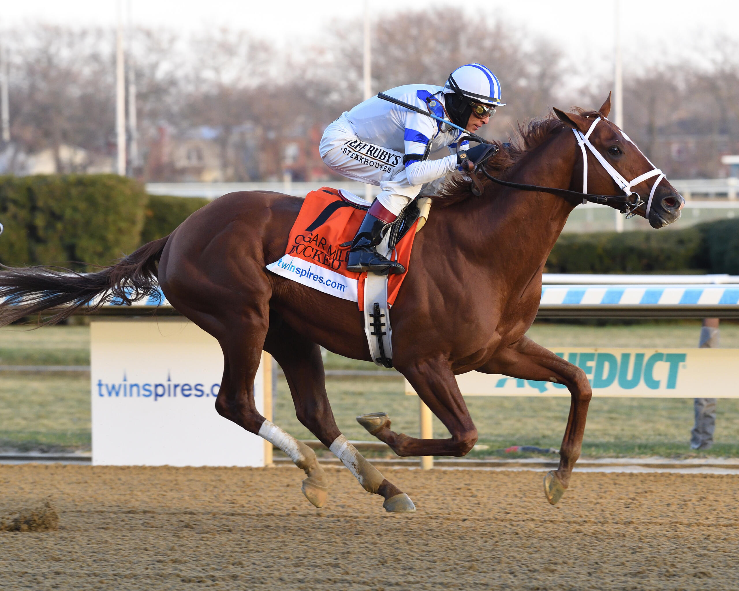 Locked Lights ‘Em Up In Cigar Mile | Eclipse Thoroughbred Partners