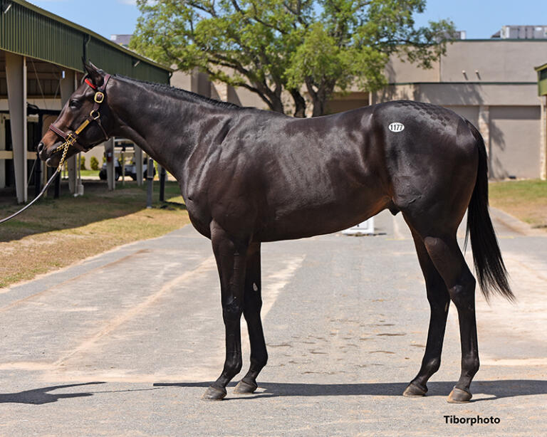 Woods | Eclipse Thoroughbred Partners