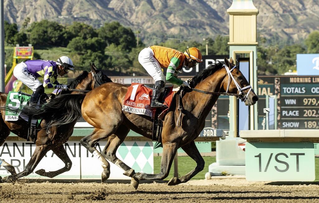 Believing big: Eclipse Thoroughbreds founder Aron Wellman writes his ...