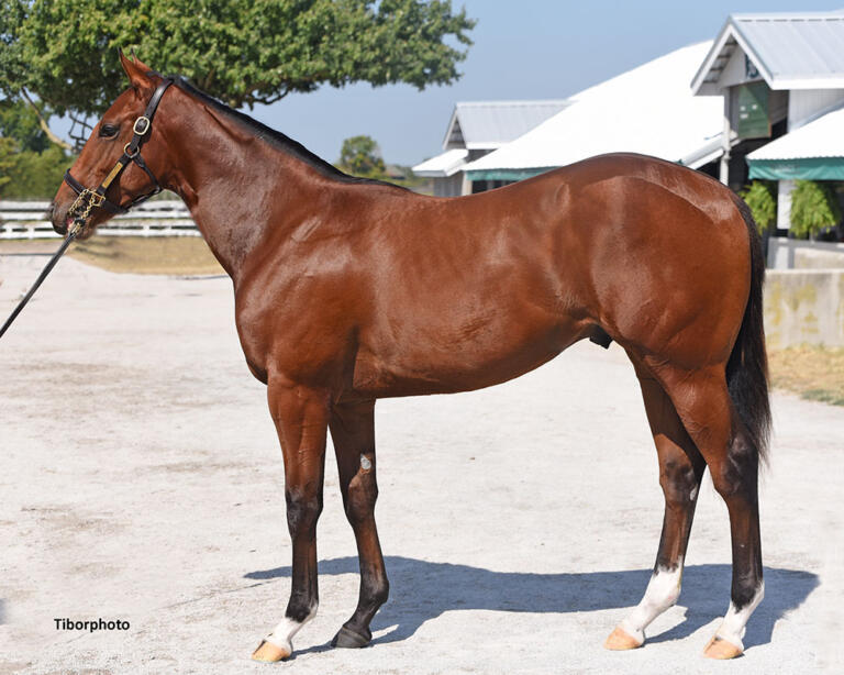 Squad | Eclipse Thoroughbred Partners